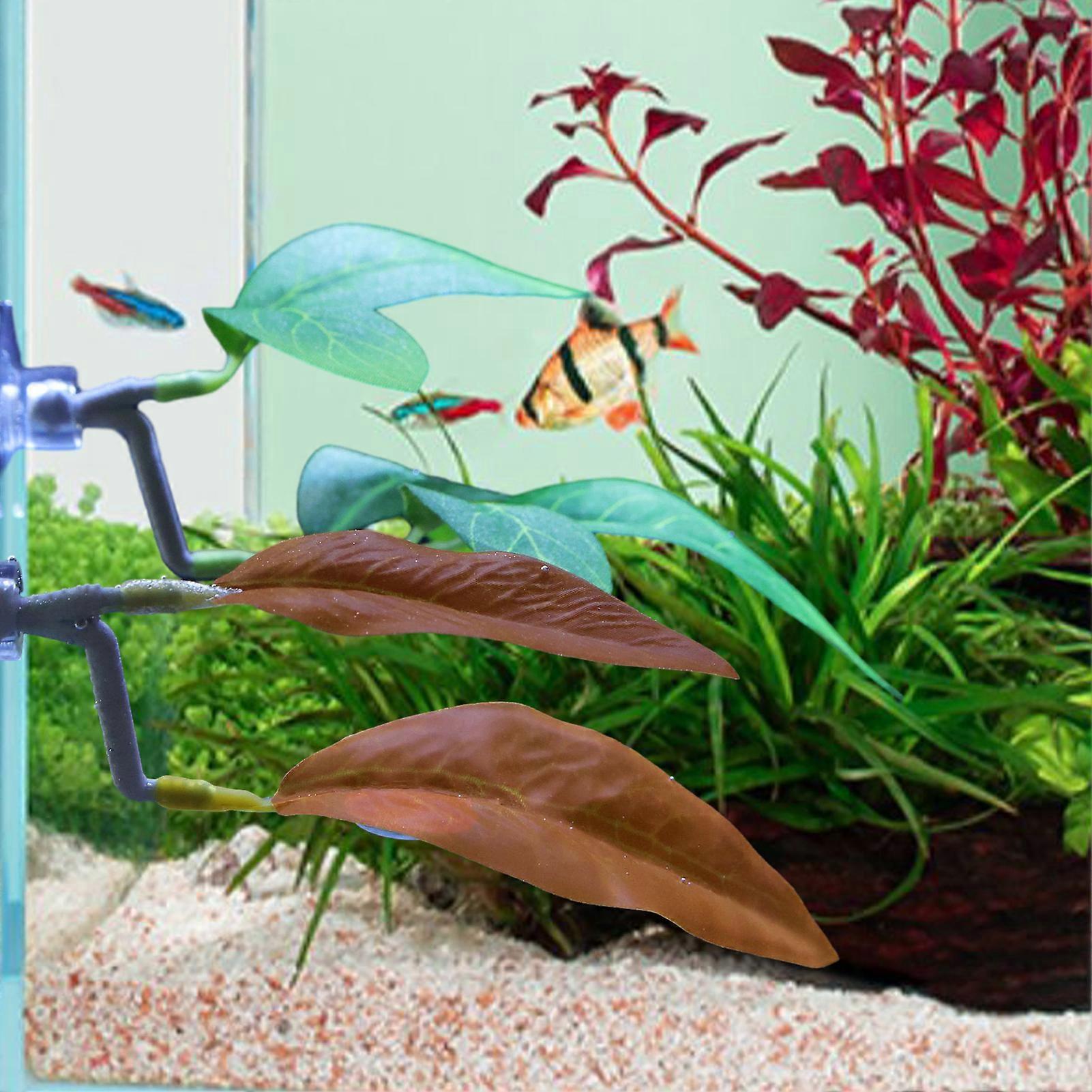 Fish Tank Aquatic Plants Fighting Fish Resting Leaf High Simulation ...