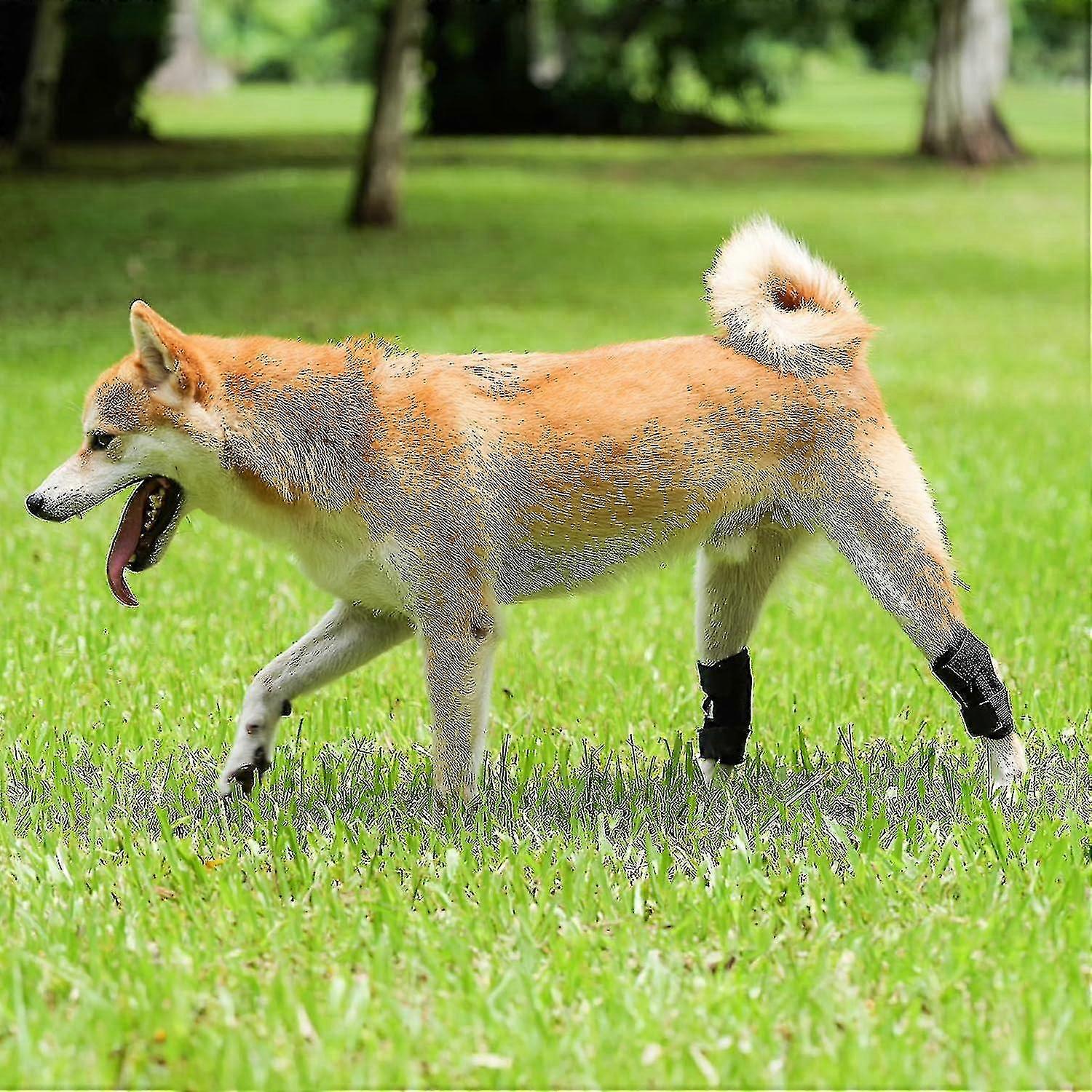 Dog Hind Leg Brace: Hock & Ankle Support for Torn ACL & CCL, Canine ...