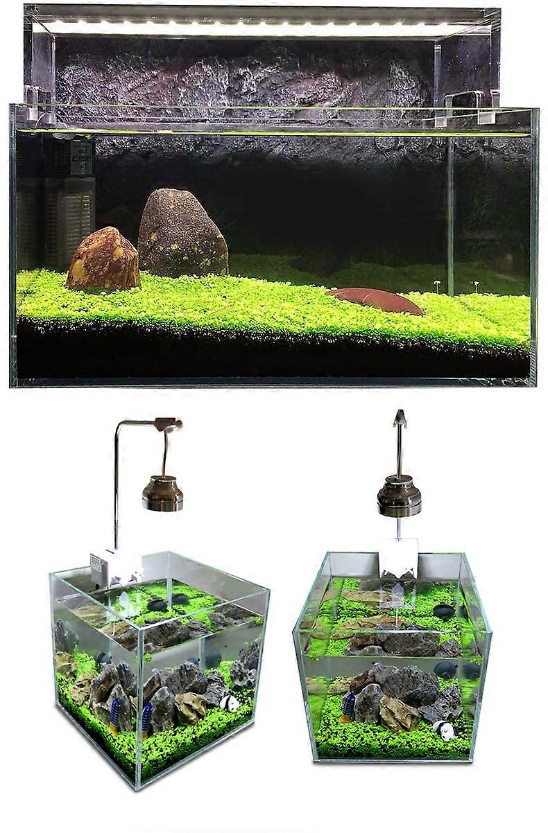 Fish tank decorative aquatic plant seeds package Fish tank plant seeds ...