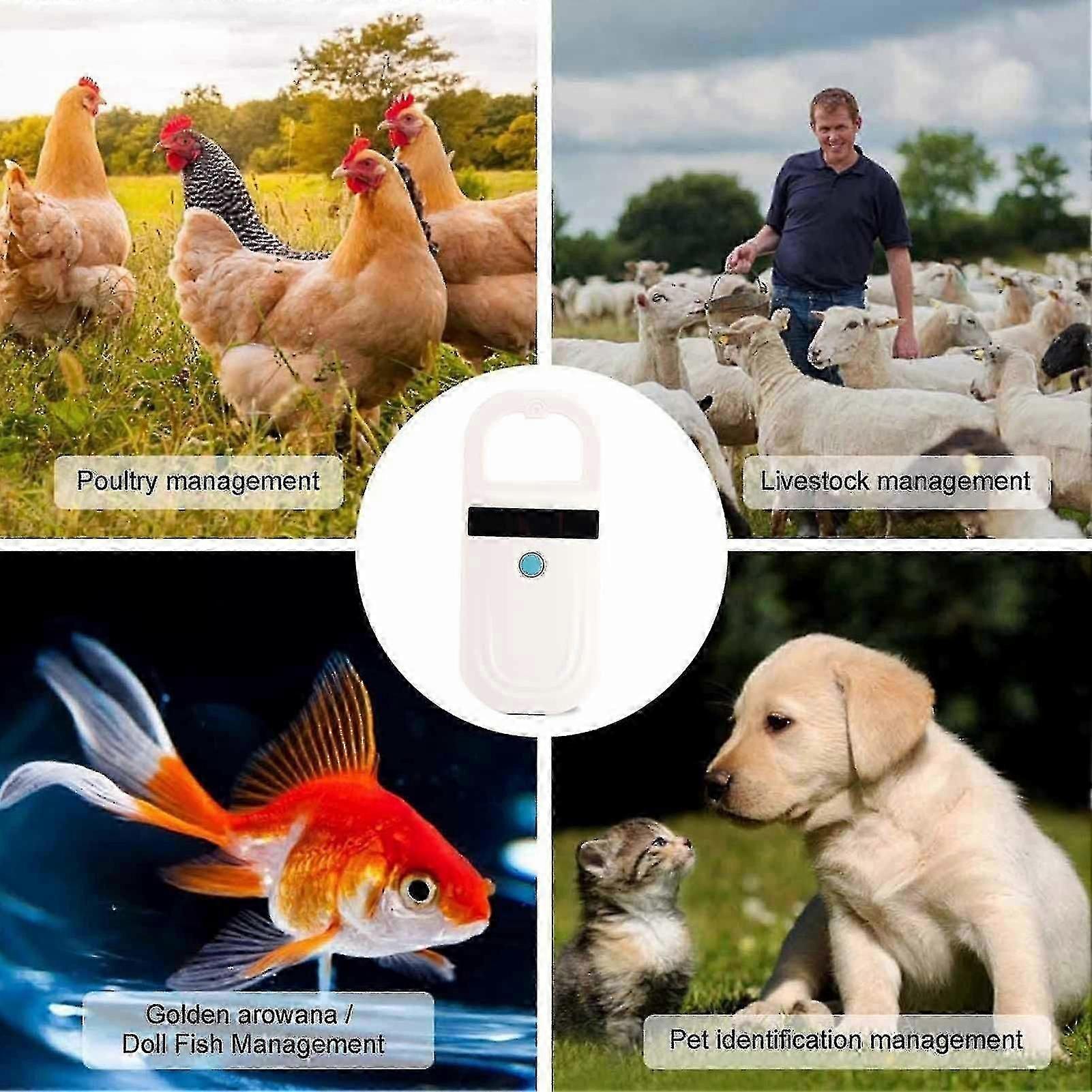 Rechargeable Animal Microchip ID Scanner for Pet Tag Reading and ...