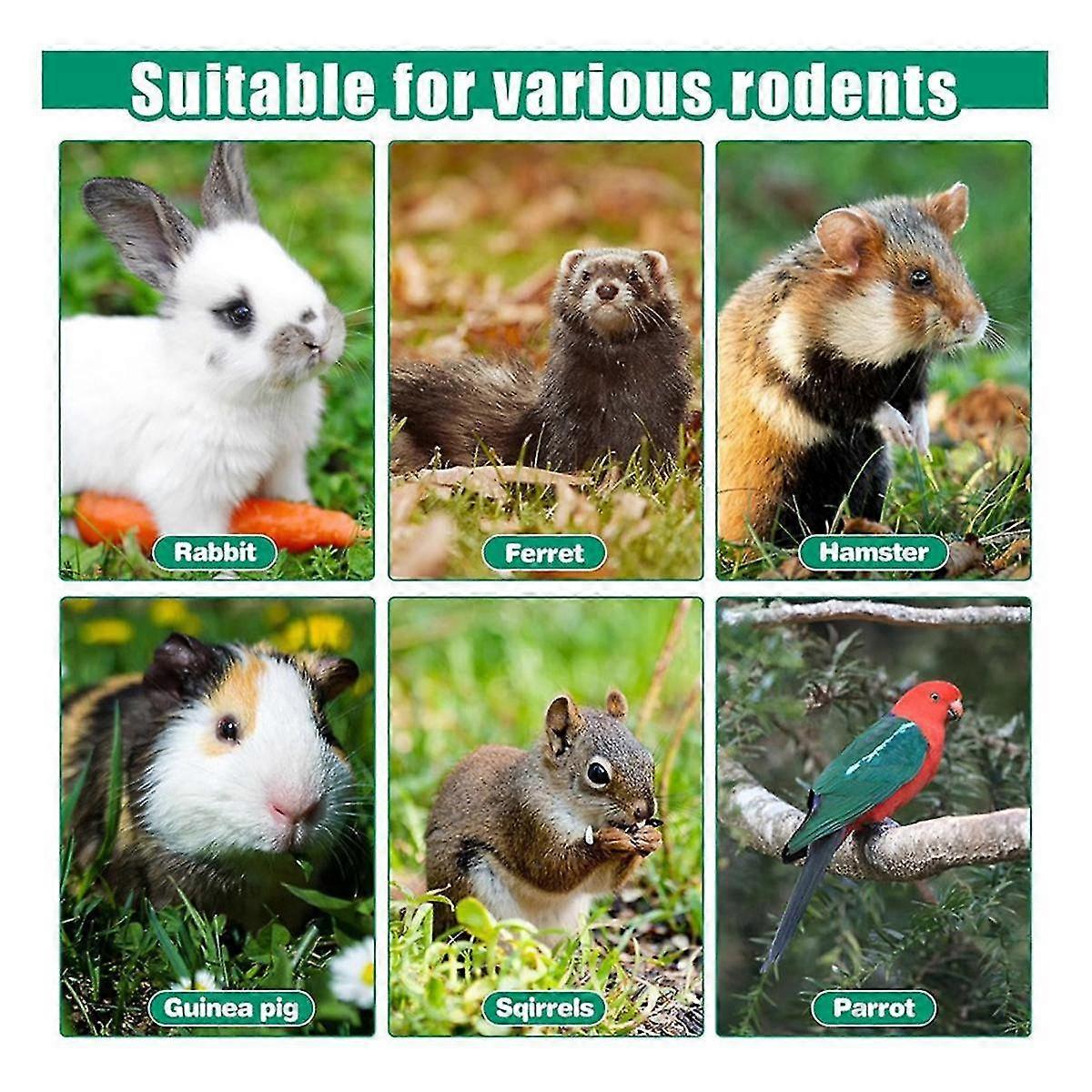 Heated Rabbit Water Bottle, 32 Oz No Drip Water Bottle For Rabbits ...