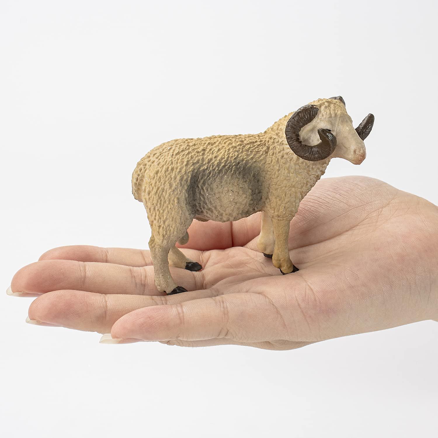 Simulated Sheep Figurines Realistic Plastic Farm Animals For Science ...