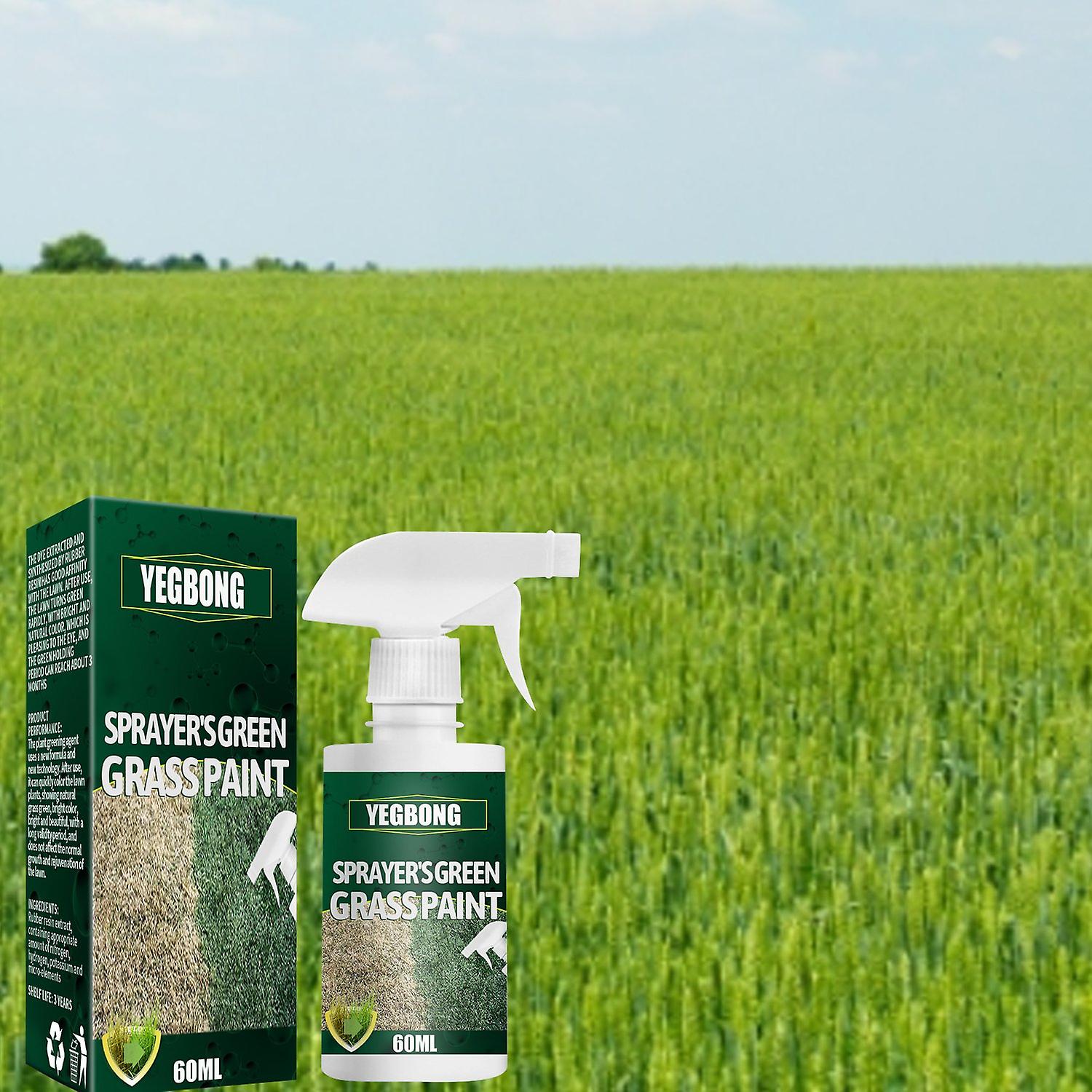 Green Grass Lawn Paint Colorant Spray Lawn Grass Dye Turf Paint Long ...