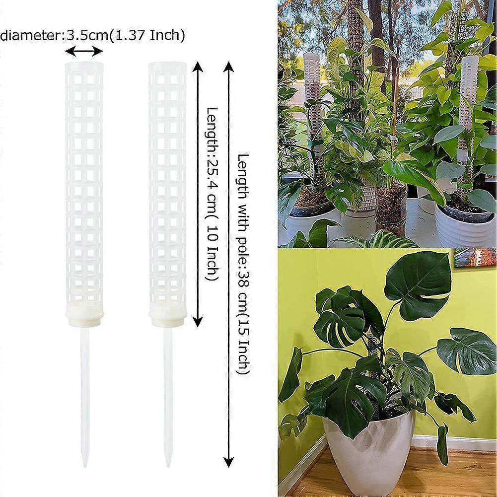 6Pcs Plastic Moss Pole 15 Inch Transparent Moss Mesh Pole Small Moss ...