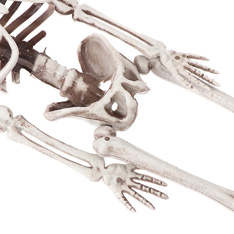 40cm Halloween Tricky Props Horror Skeleton Skeleton Scene Decoration ...