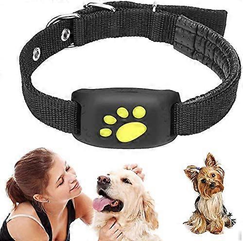 GPS Dog Activity Monitor med obegränsad räckvidd, Tracker Collar Pet ...