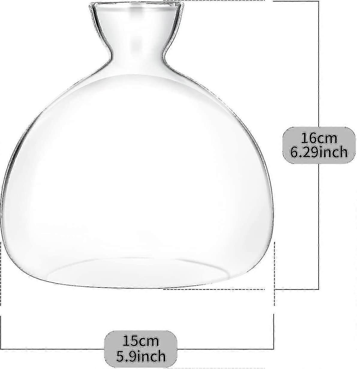 Avokado Seed Starter Planter Vase Pot Avokado Tree Growing Kit Glas ...