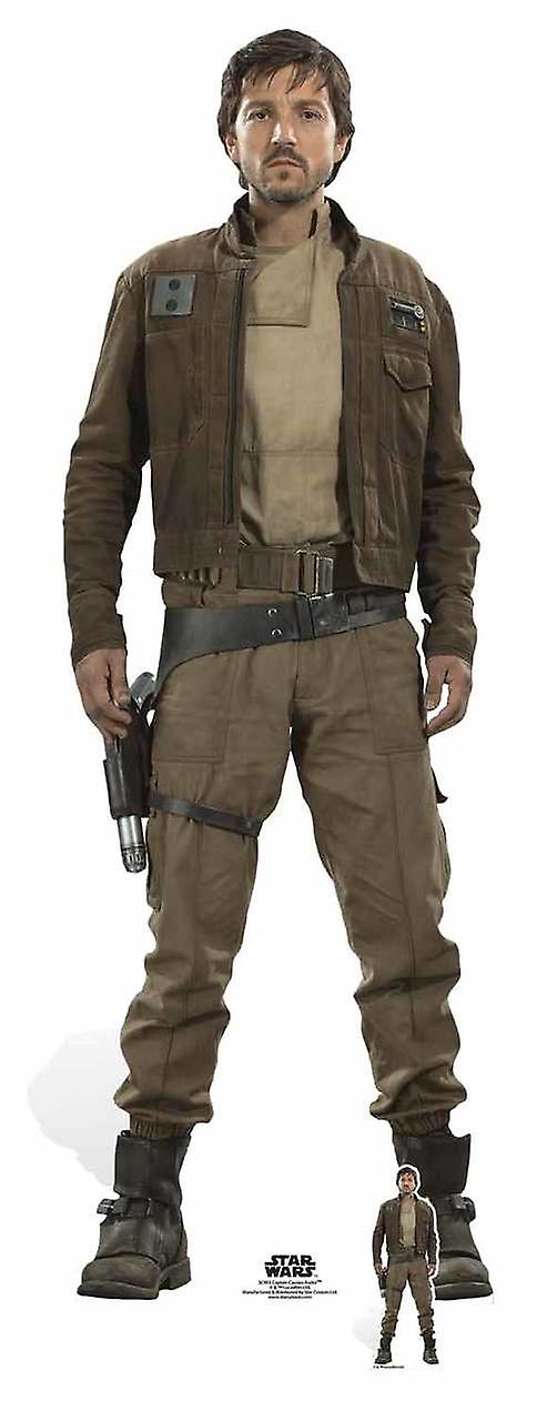 Capitano Cassian Andor Rogue One: Una Star Wars Storia Lifesize Cartone ...