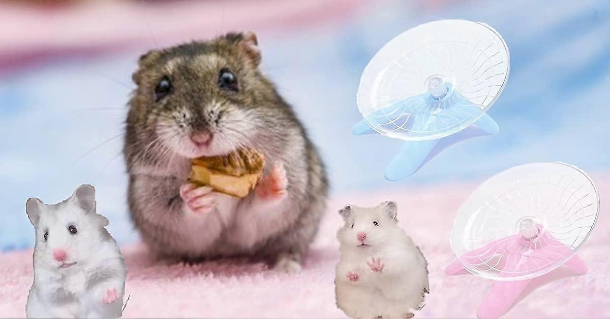 Hamster Flying Saucer Silent Running Exercise Wheel for Hamsters ...