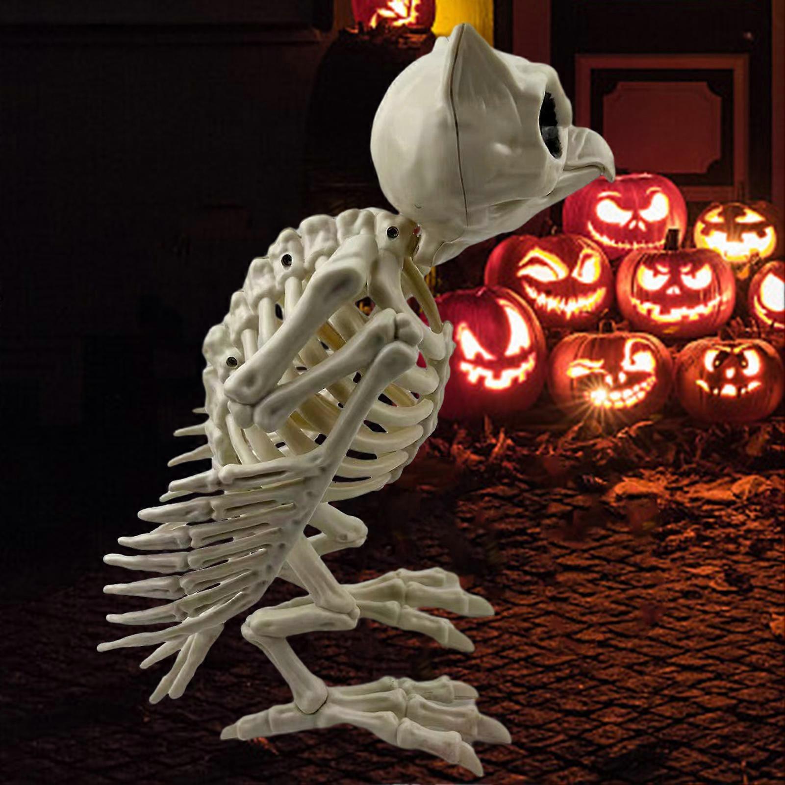 Halloween Skeleton Owl Decoration Realistic 12" Skeleton Animal Figure ...