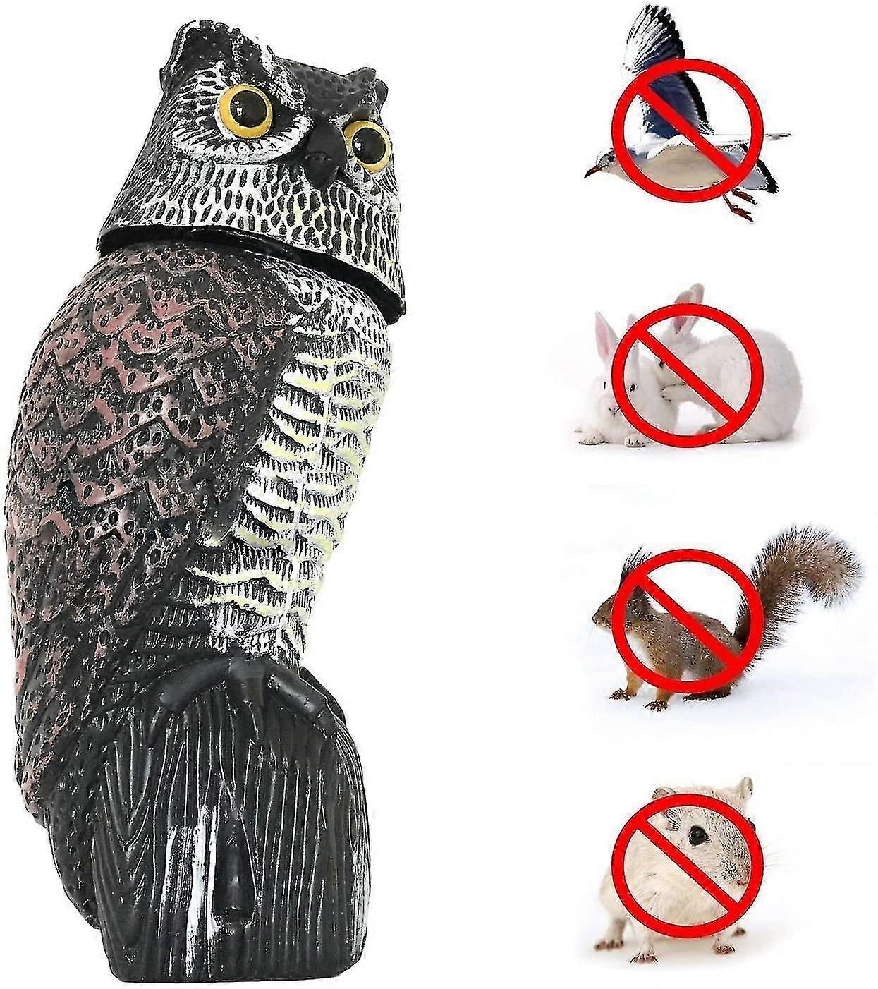 Bird Scarecrow Owl 360 Rotate Head To Scare Birds Realistic Horrible ...