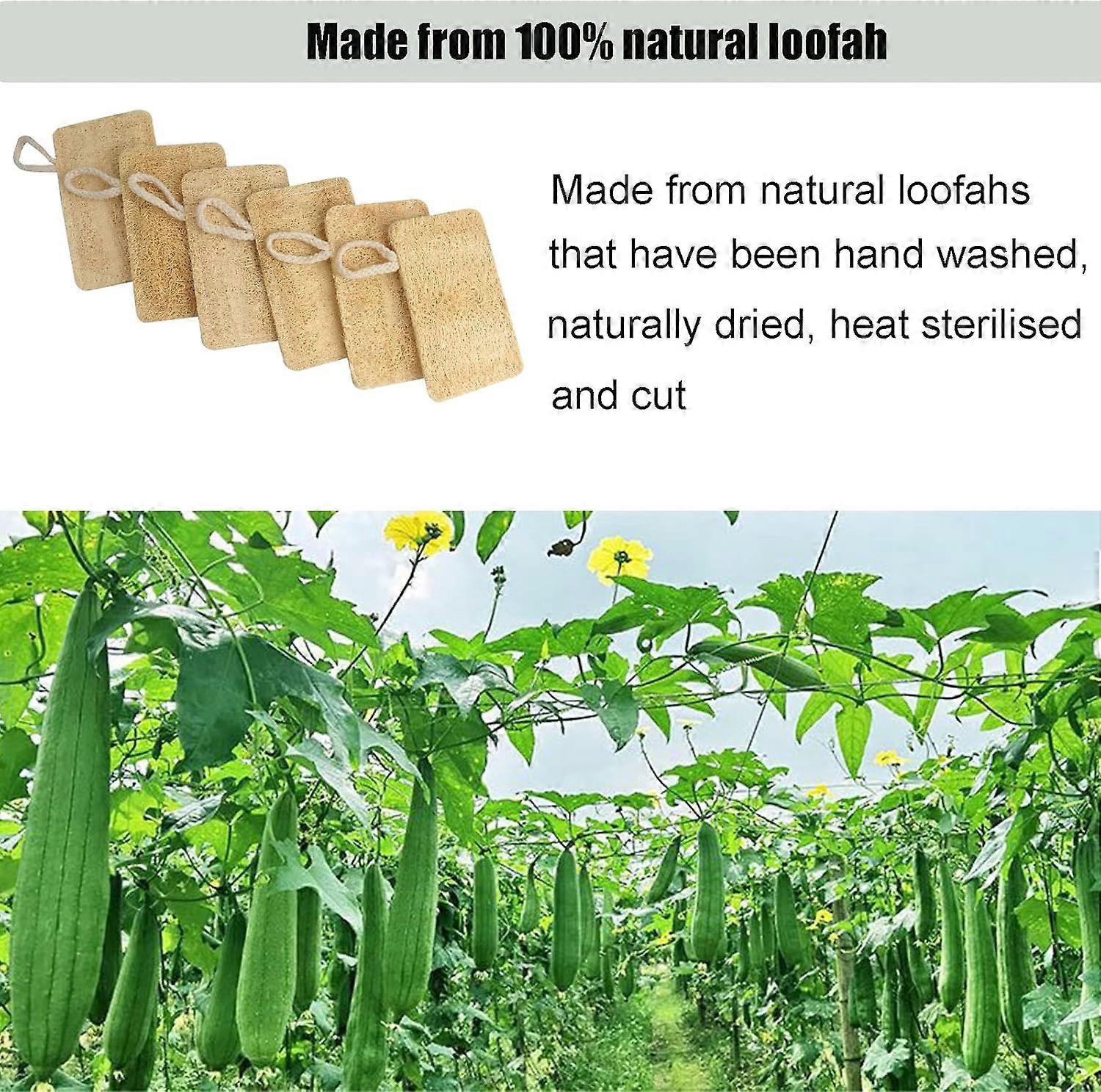 6 Pack Organic Dishwashing Sponges ,Zero Waste Natural Loofah Plant ...
