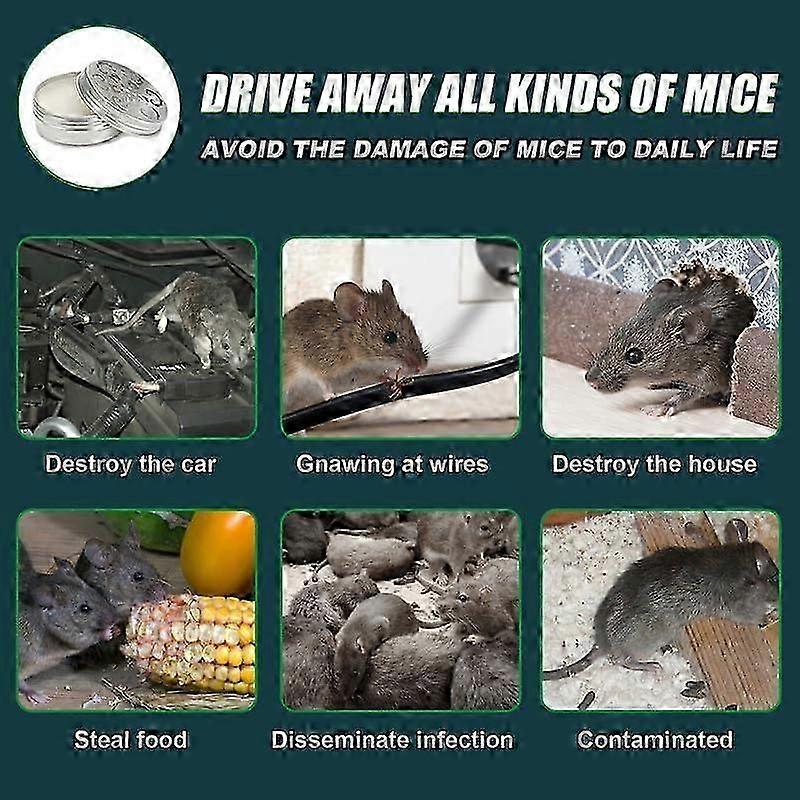 Peppermint Oil To Repel Mice And Rats, Rodent Repellent Mouse Repellent ...