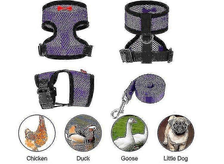 2pcs Chicken Harness And Leash, Modified Adjustable Breathable Harness ...