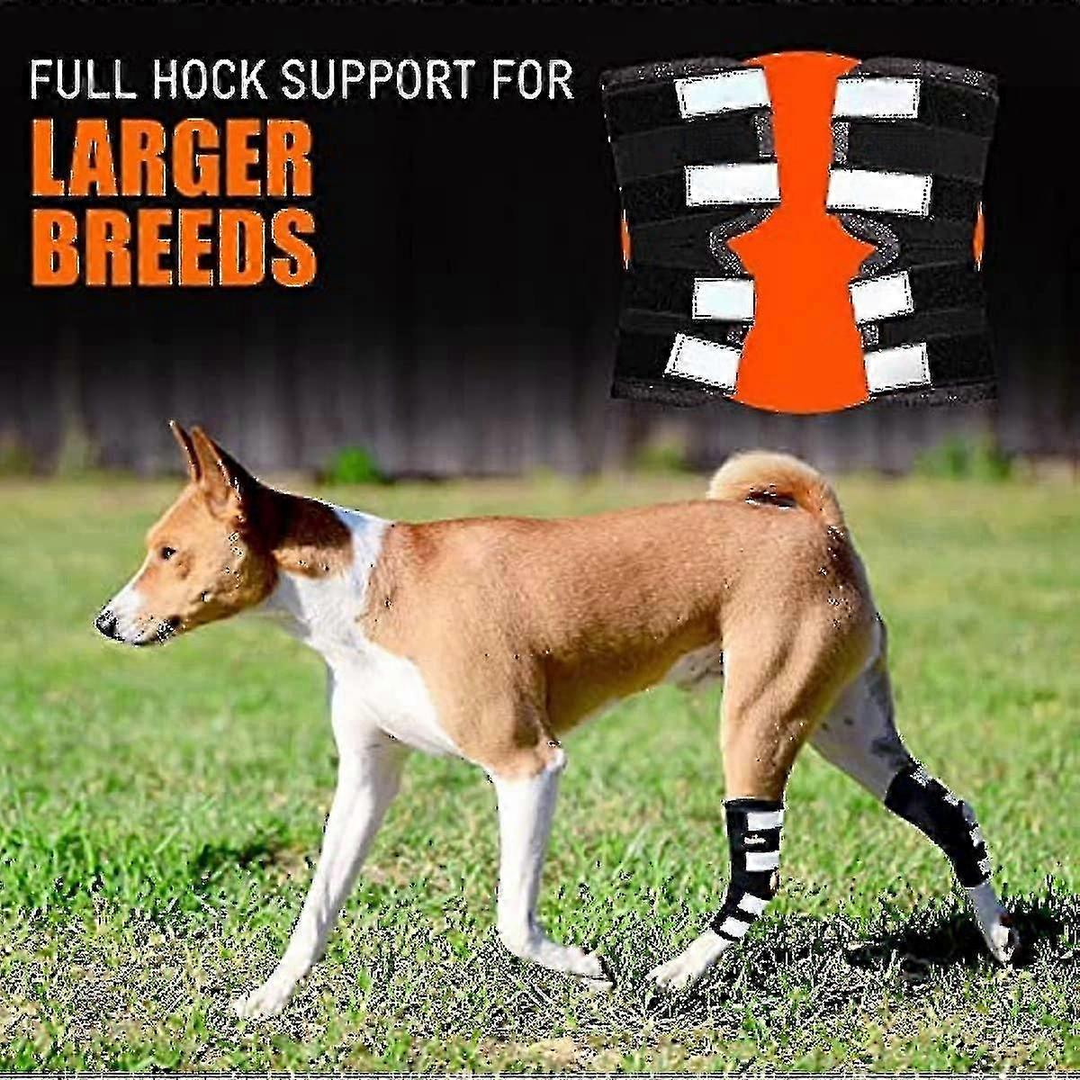 Dog Rear Leg Hock Brace, Rear Hock Joint Support With Safety Reflective ...
