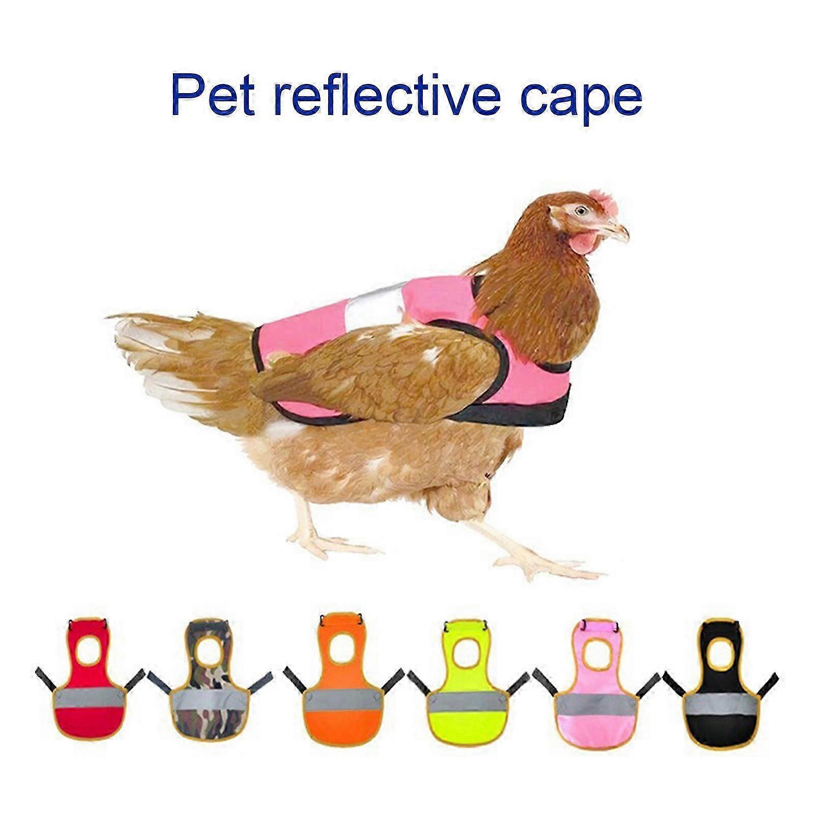 Reflective Chicken Harness Hen Saddle Apron Adjustable Hen Reflective ...