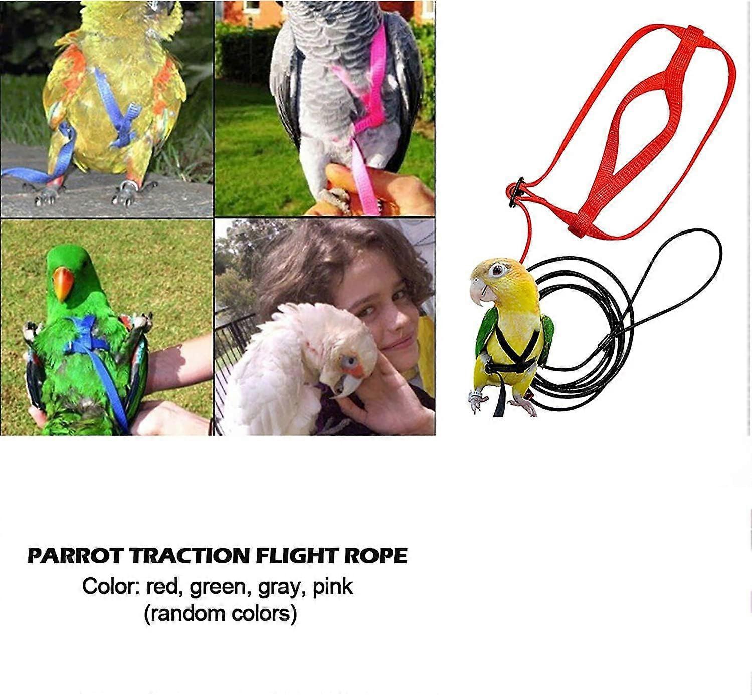 Adjustable Parrot Bird Harness Set, Leash Kit for Outdoor Training ...
