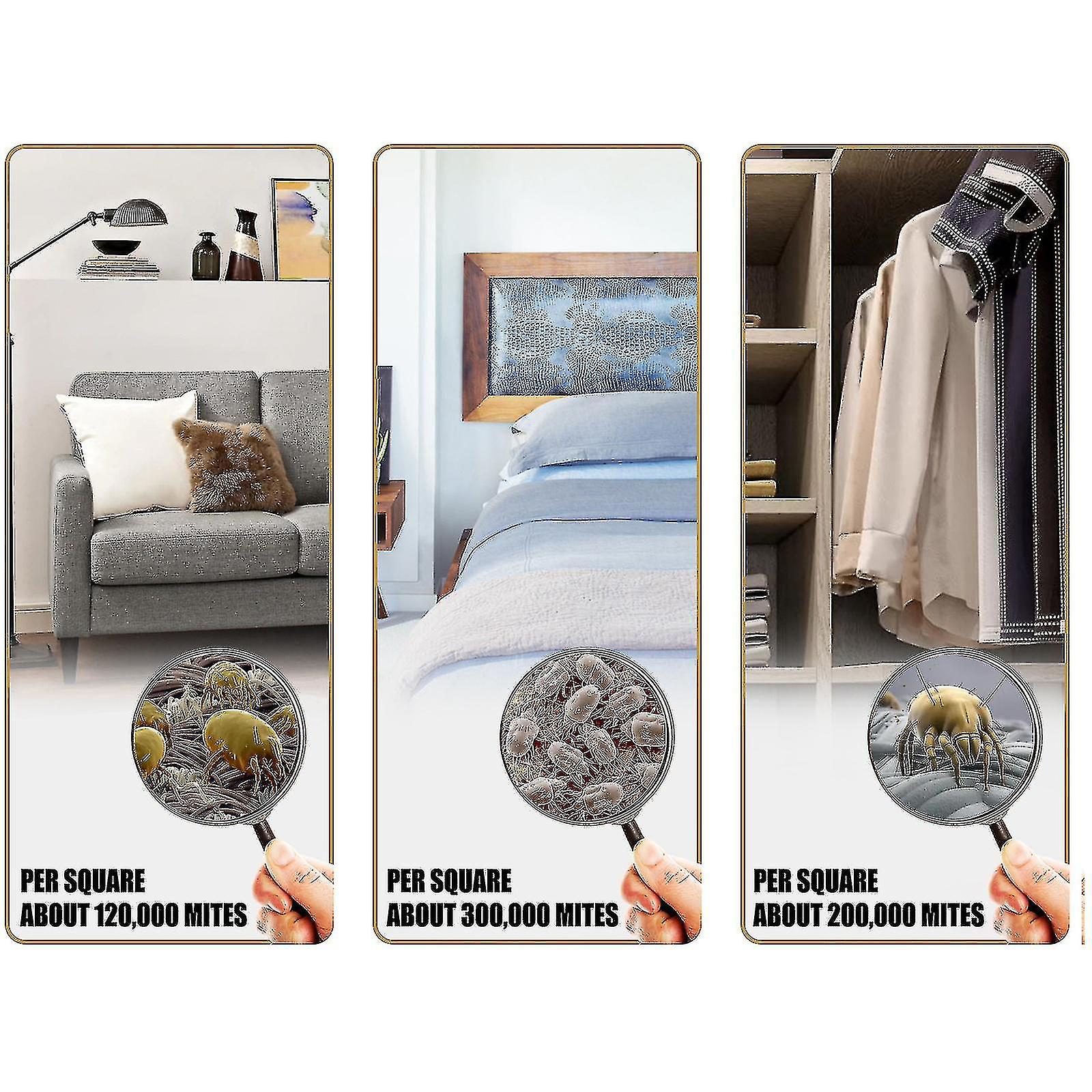 Natural Mite Killer Kit For Home Beds - Effective And Chemical-free ...