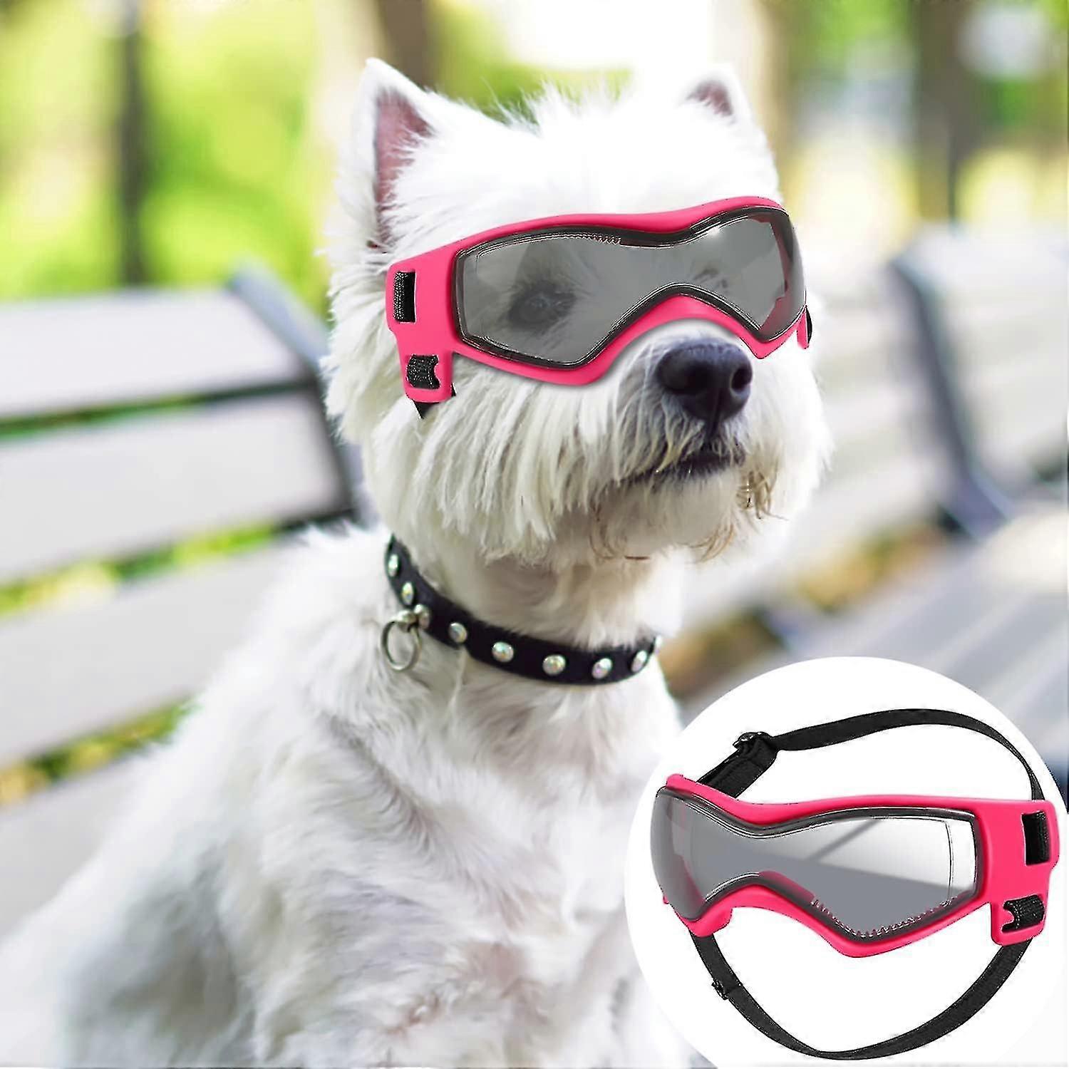 Dog Goggles Uv Protection For Small To Medium Breed Dog,windproof Anti ...