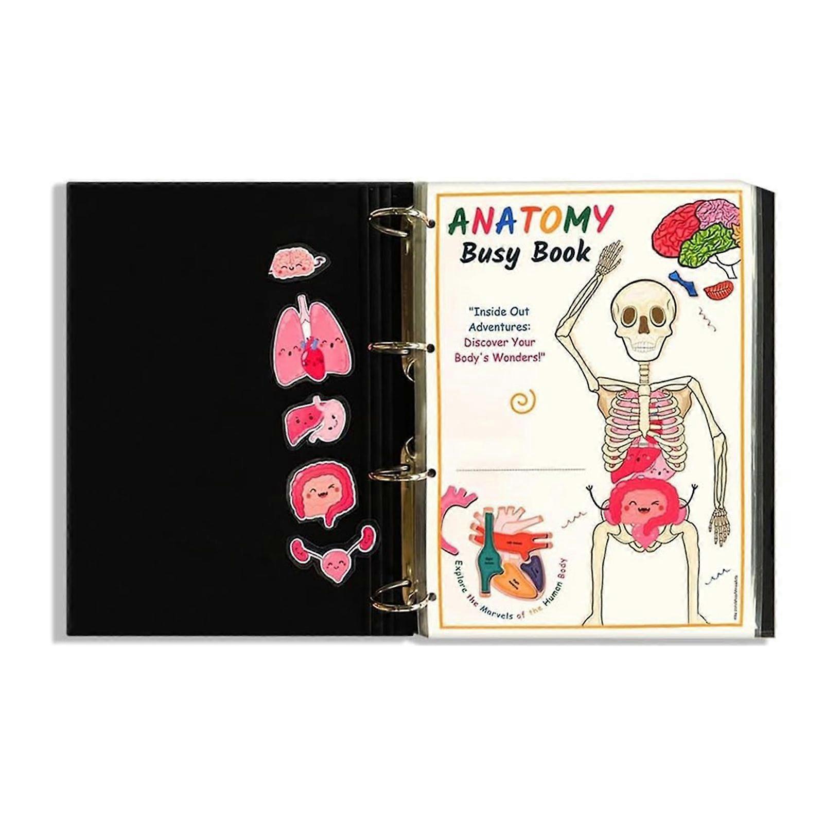 Human Anatomy Busy Book Kids A4 Anatomy Learning Binder Early ...