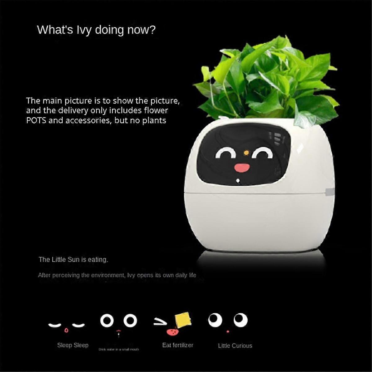 Ivy Smart Planter,USB Rechargeable Indoor Small Flower Pot for Indoor ...