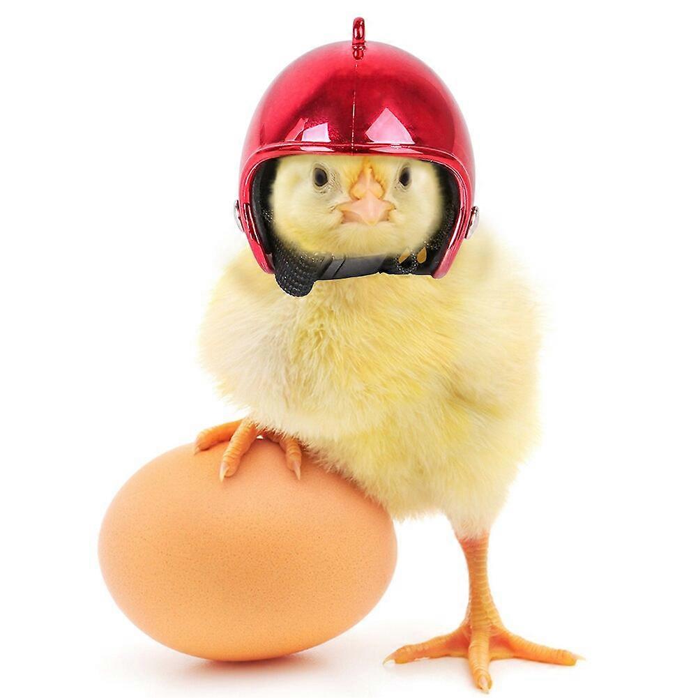Pet chicken head helmet small pet poultry duck headdress hat protective ...