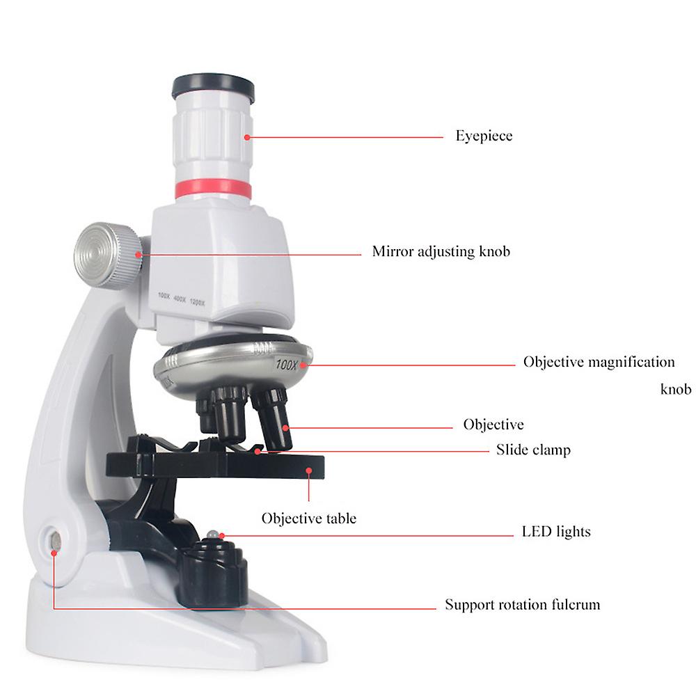 Enfants Débutant 1200x Microscope Playset Kit Bio Téléphone Mobile Microscope Observation Jouet ...