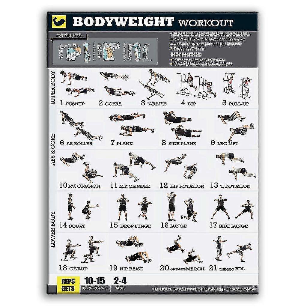 Learning Dumbbell Workout Exercise Poster Laminated Free Weight Body ...