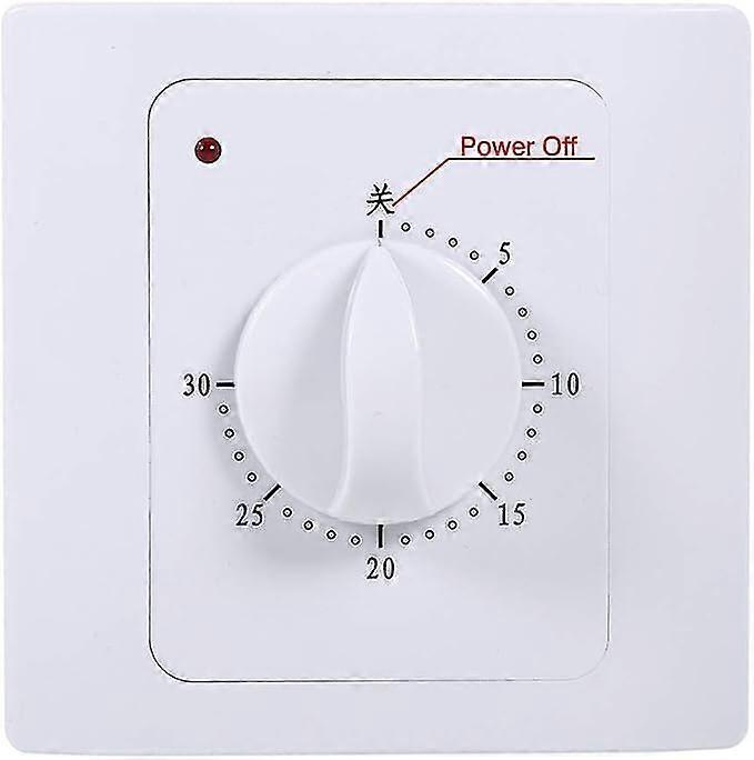 Mechanical Timer Switch, MAGT 220V 10A 30 Min Electric Digital Timer ...