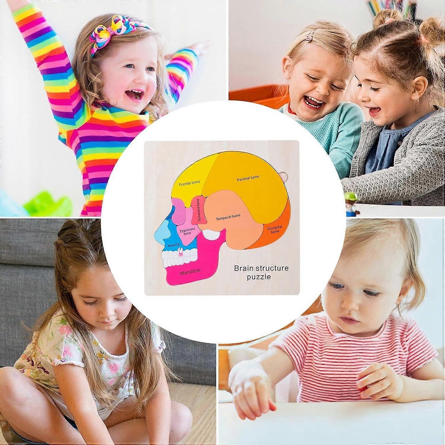 Human Body Puzzle - Anatomy Puzzle Kit For Children, Educational ...