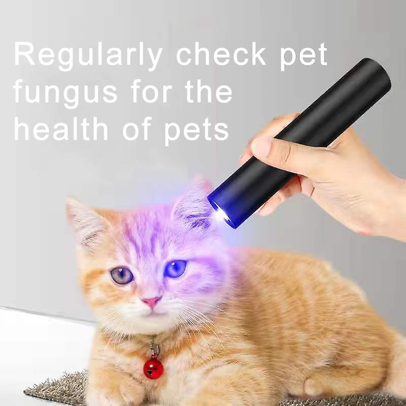 Dog And Cat Ringworm Detector UV Ringworm Lamp Pet 365nm Fungus Test ...