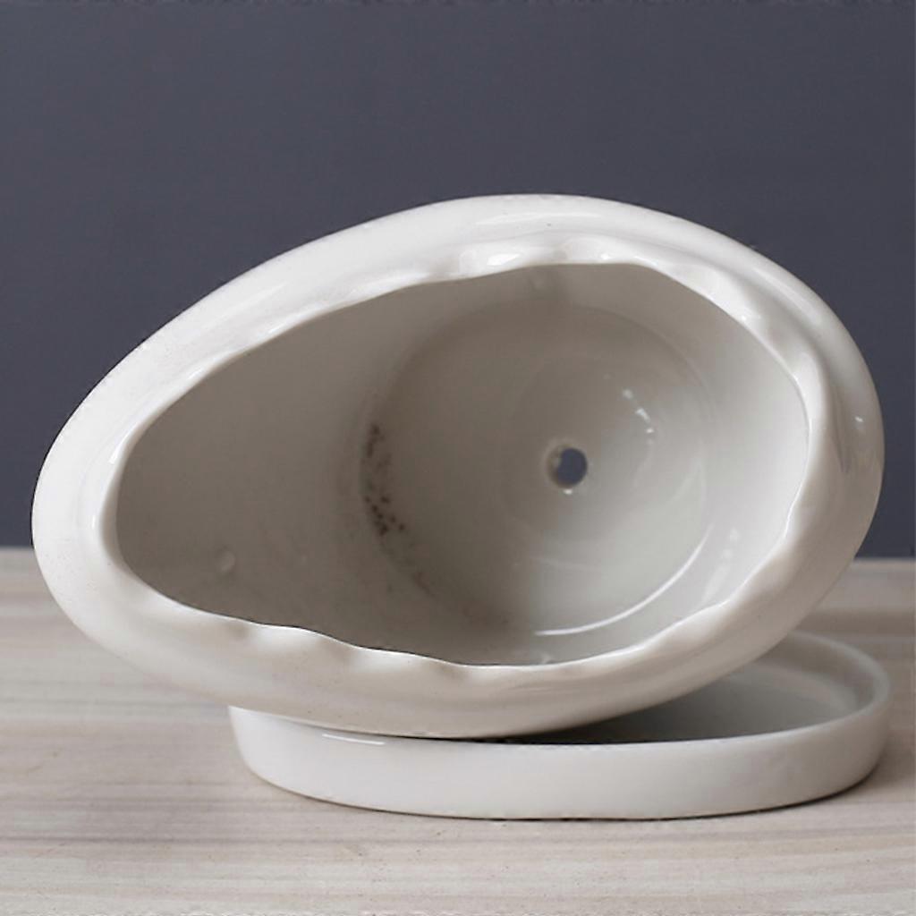 Cute Shark Succulent Planter Pot with Drainage Tray Ceramic Cactus ...