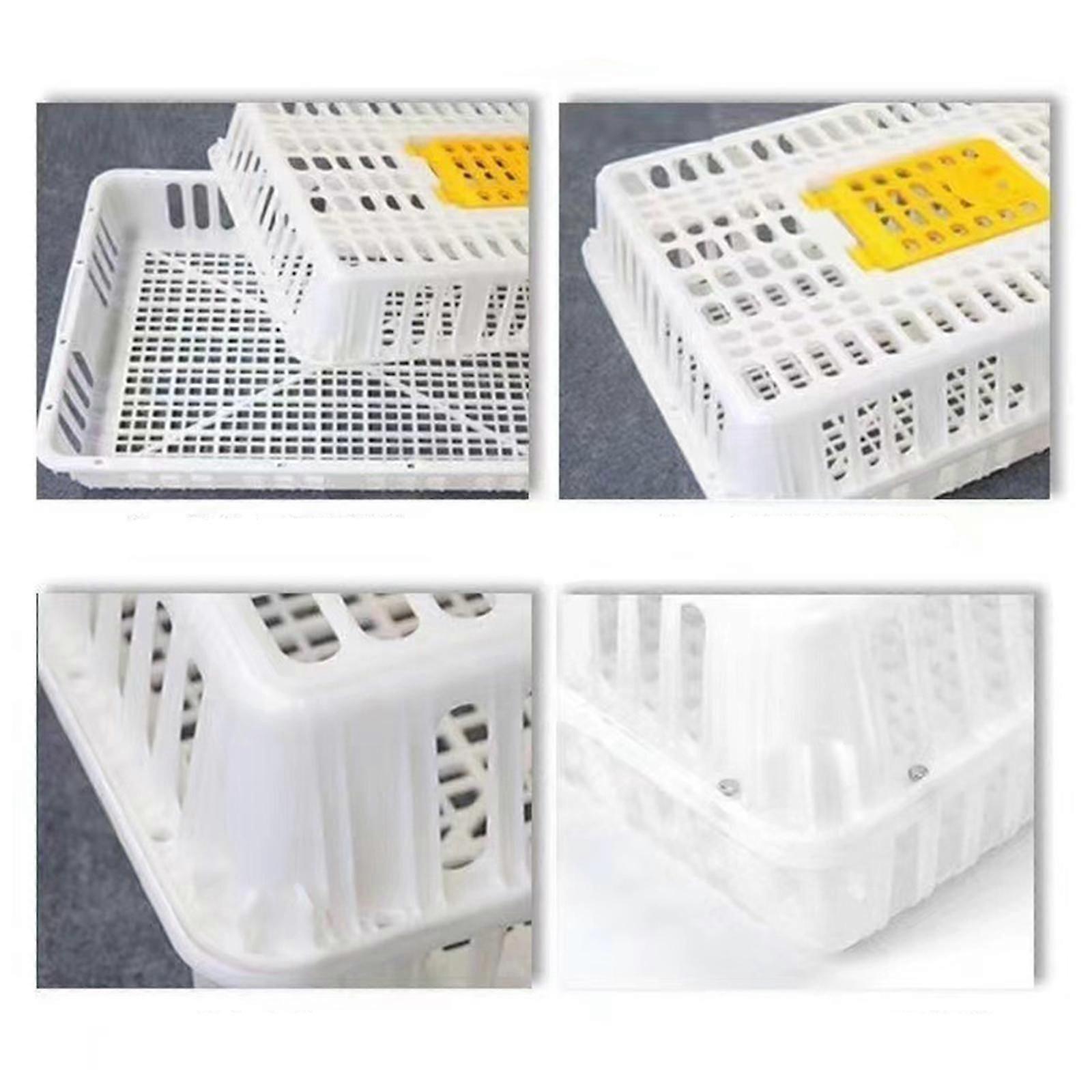 Poultry Carrier Crate Chicken Carrier Crate Sturdy for Chickens Hens ...
