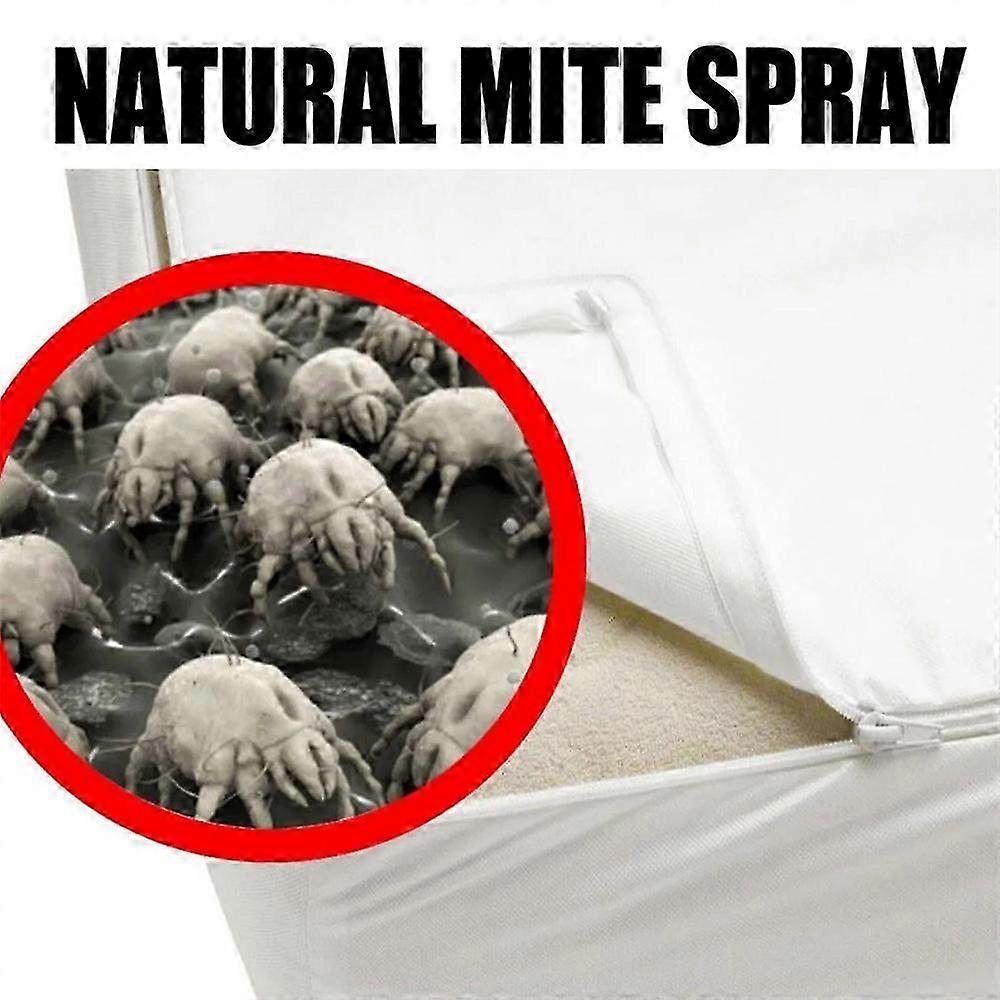 Lice and Scabies Treatment Spray and Cream for Effective Elimination of ...