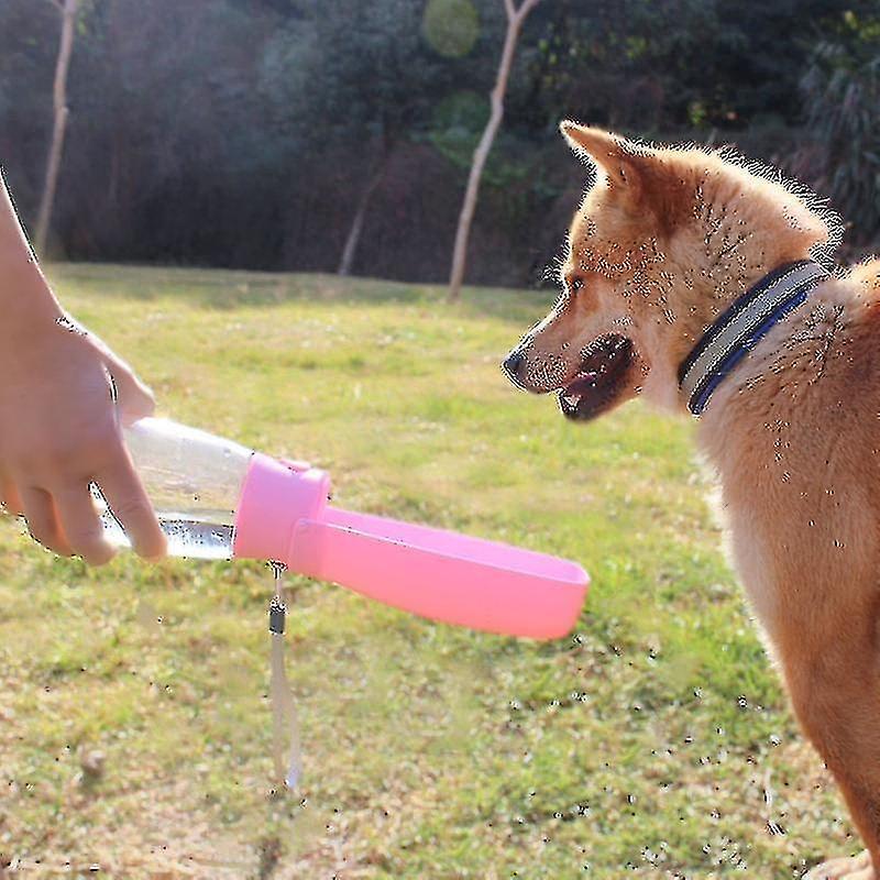 Large Capacity Eco-friendly Folding Portable Pet Water Bottle 550ml Dog Water Bottle Outdoor ...