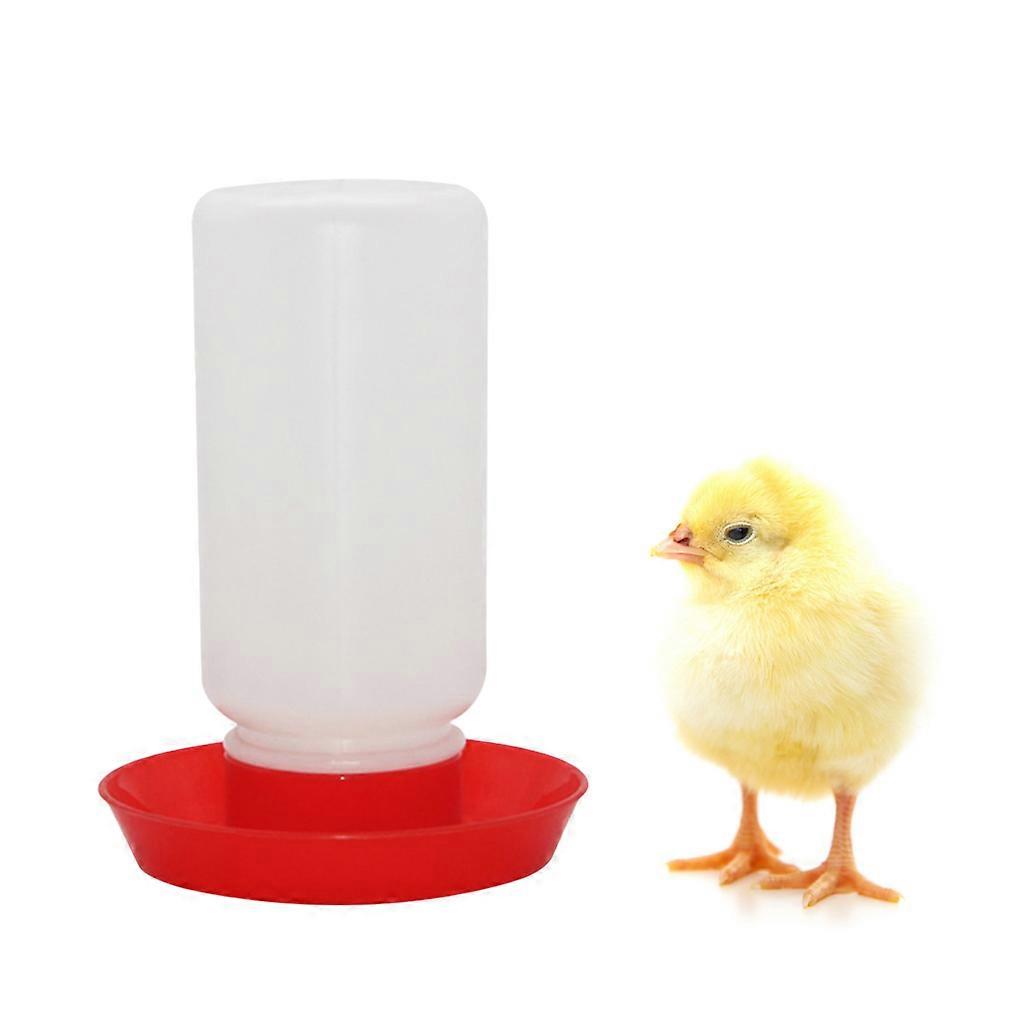 Plastic Poultry Fount Chicken Water Container Jar High-Quality Water ...