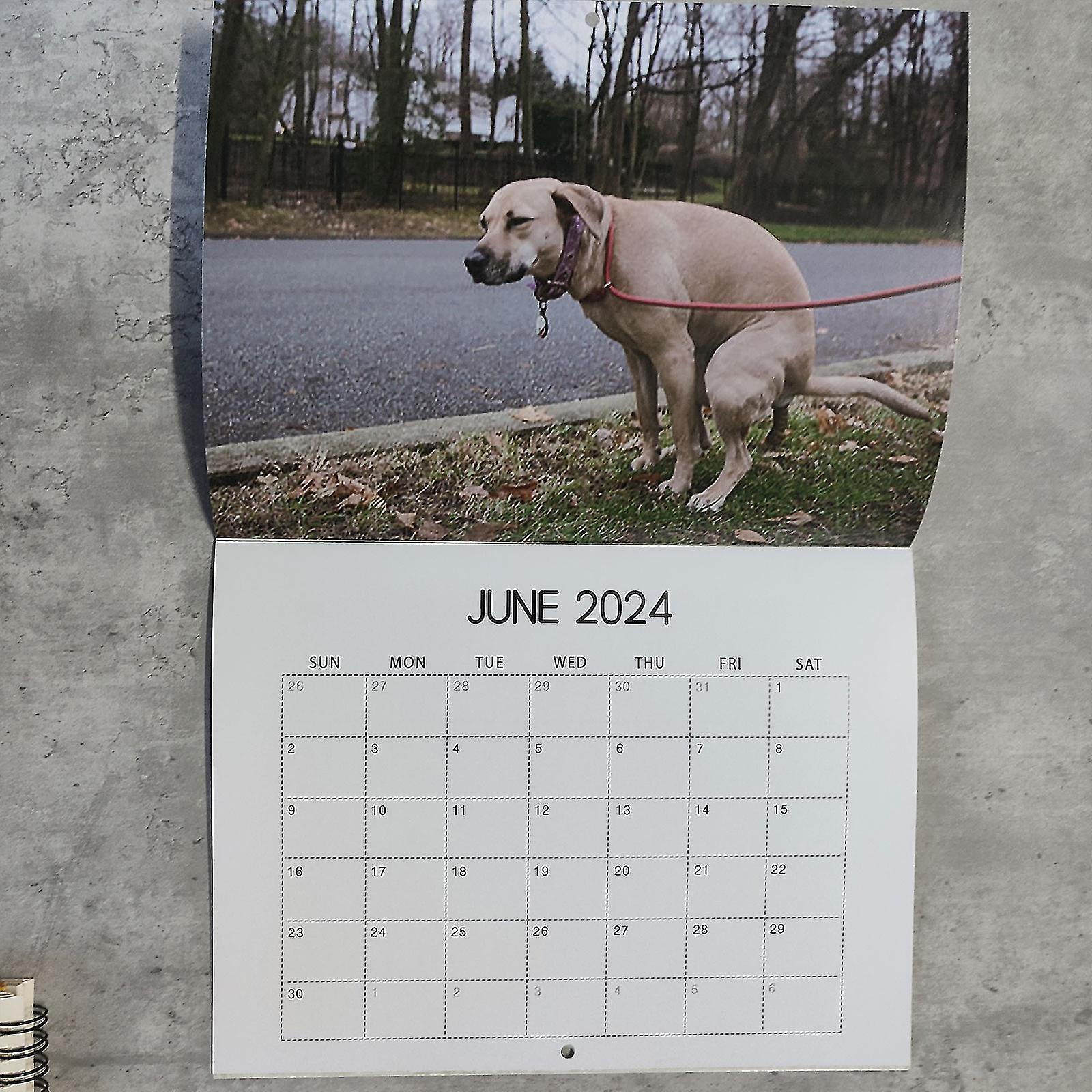 New Arrive 2024 Pooping Dogs Calendar, Dog Pooping In Beautiful Places ...