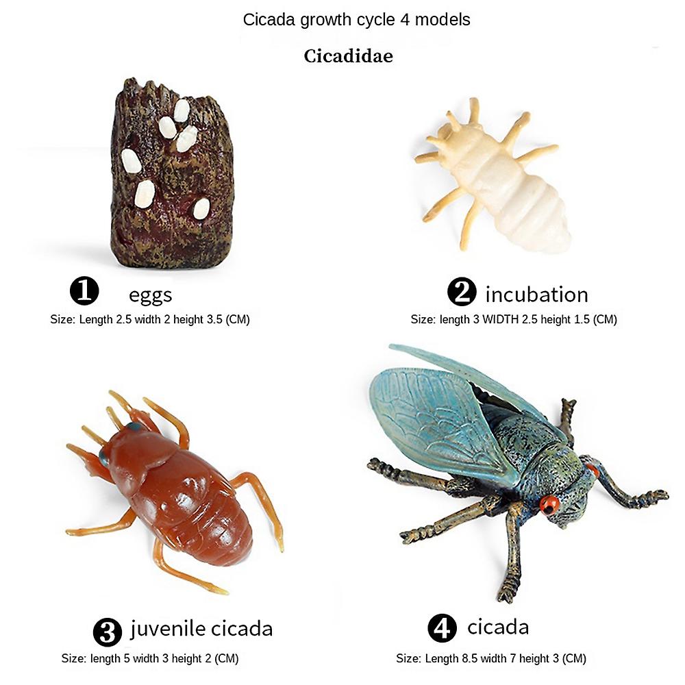 16PCS Insect Figurines Life Cycle of Butterfly,Honey Bee,Cicada,Ladybug ...
