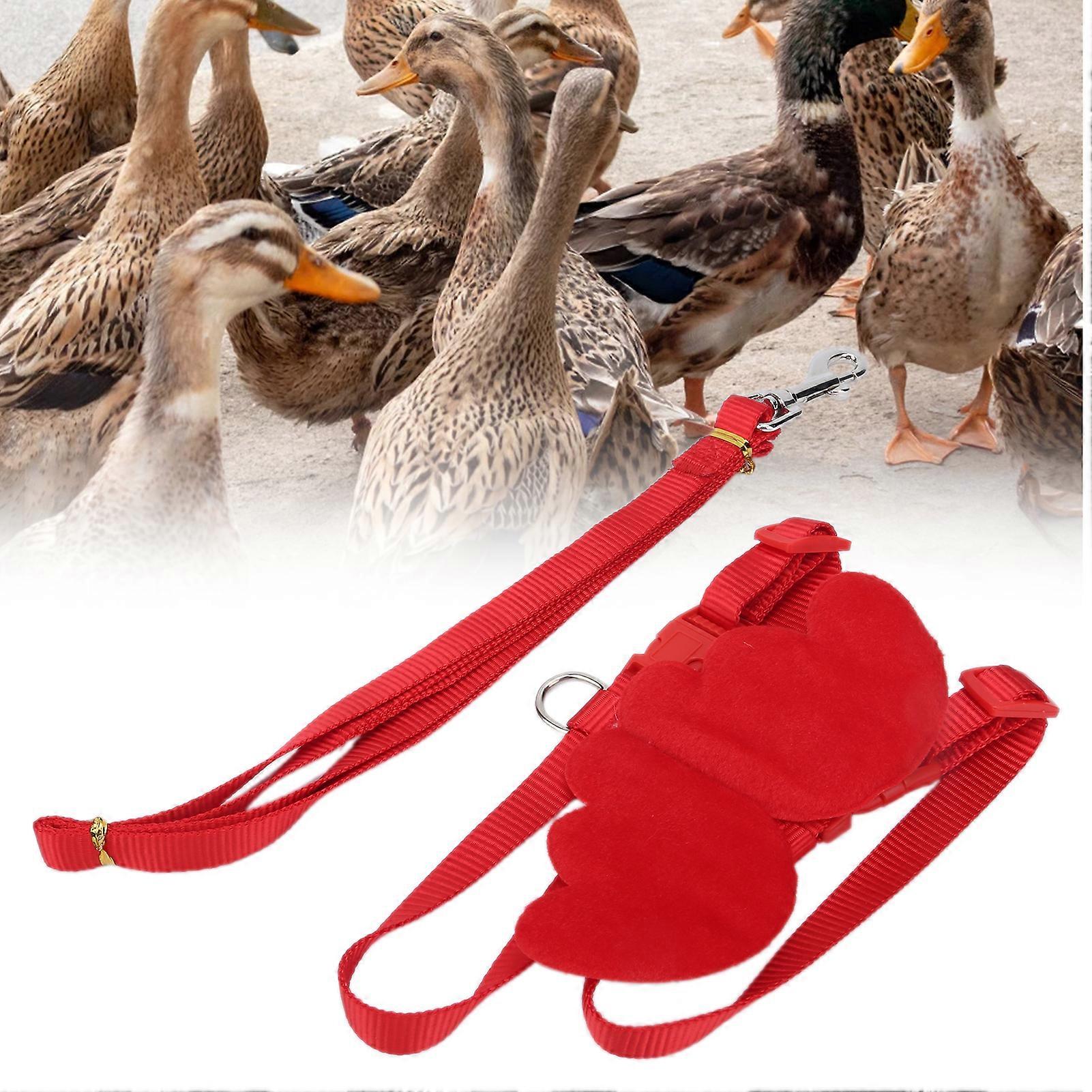 Ducks Traction Rope Adjustable Chest Strap Outside Walking Harness ...