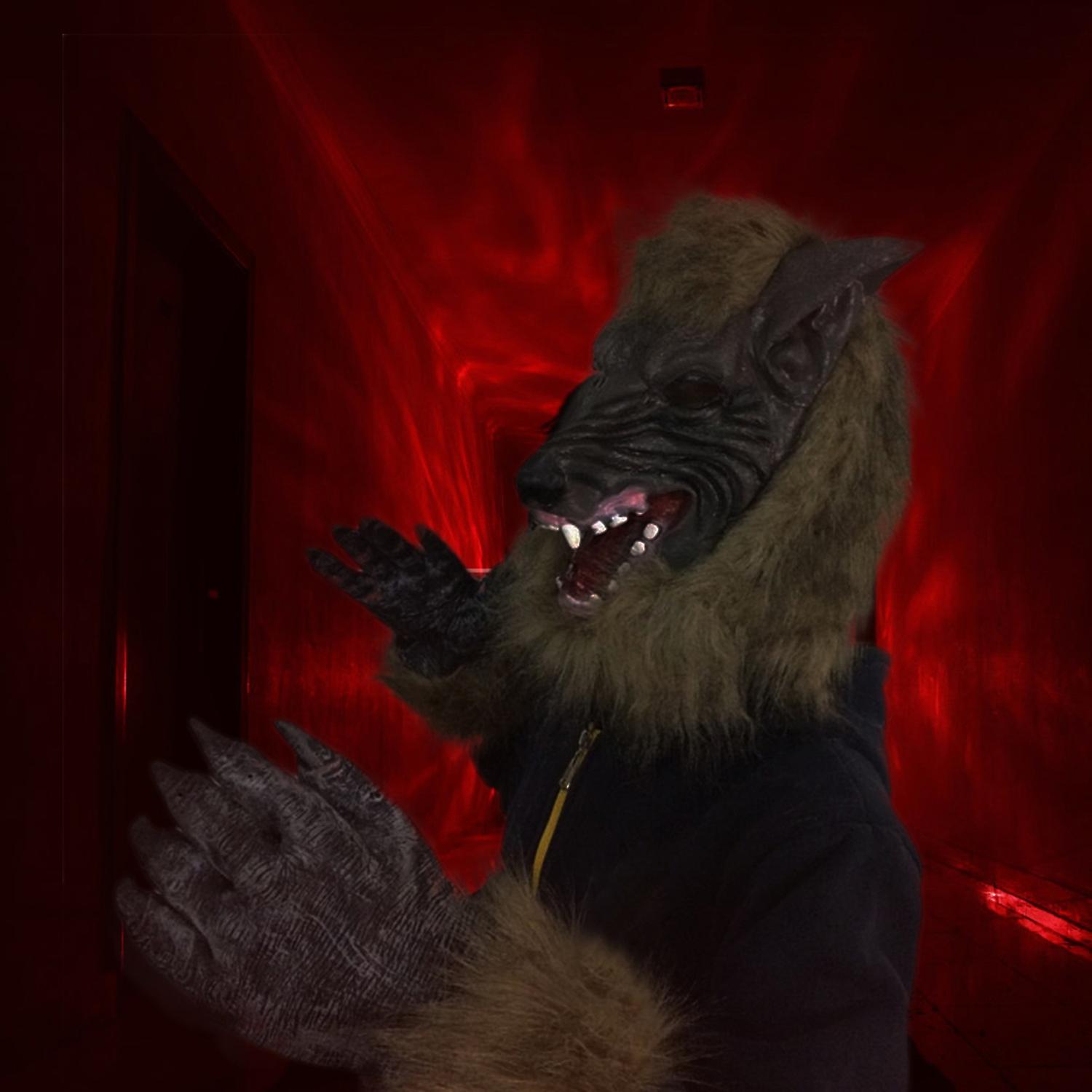 Halloween Werewolf Mask with Claw Gloves Cosplay Accessory Set | Fruugo UK