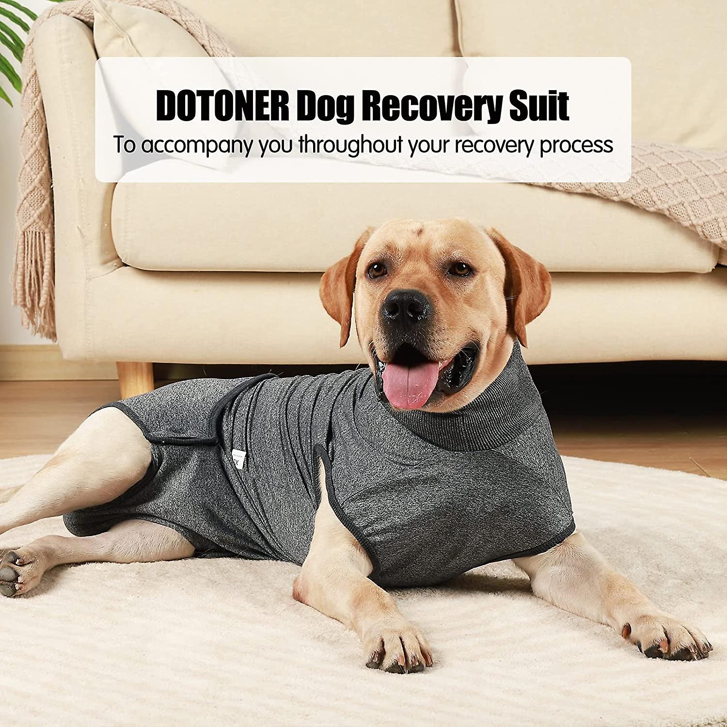 Dogs Recovery Suit Pet After Surgery Wear Protect Wound Pet Surgical ...