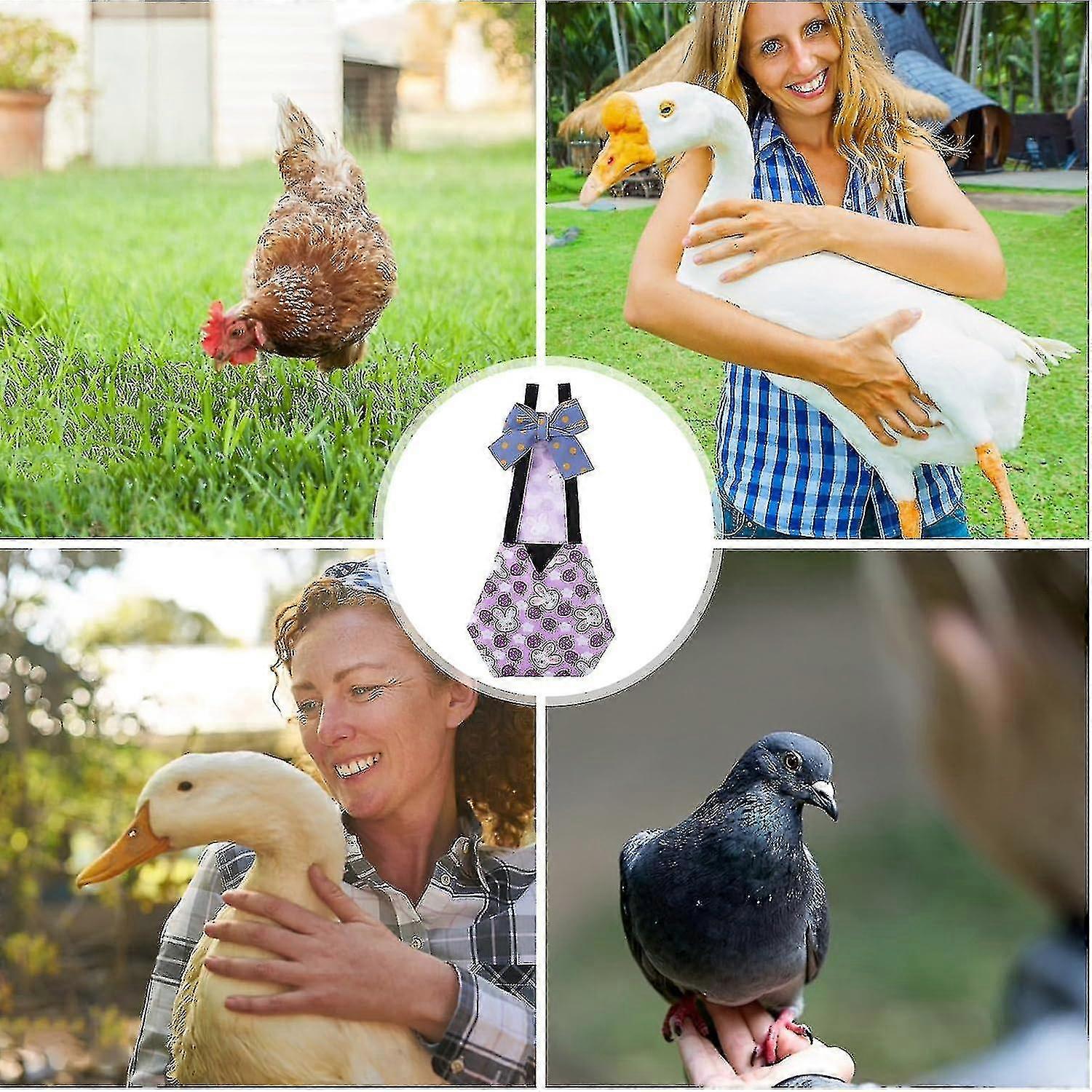 Pet Chicken Diapers Duck Diapers For Pet Ducks, Reusable Goose Clothes ...