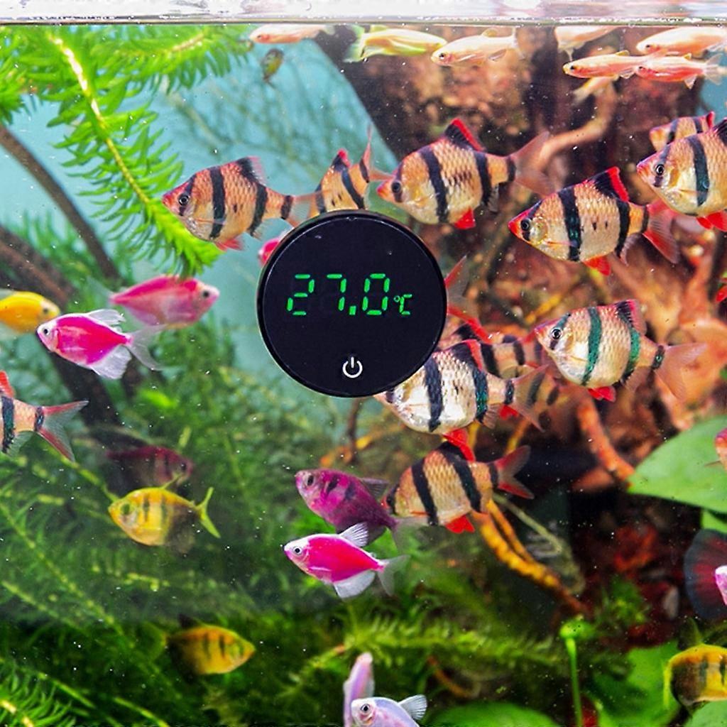 LED Digital Aquarium Thermometer Measure Temp Meter Tools Stick On ...