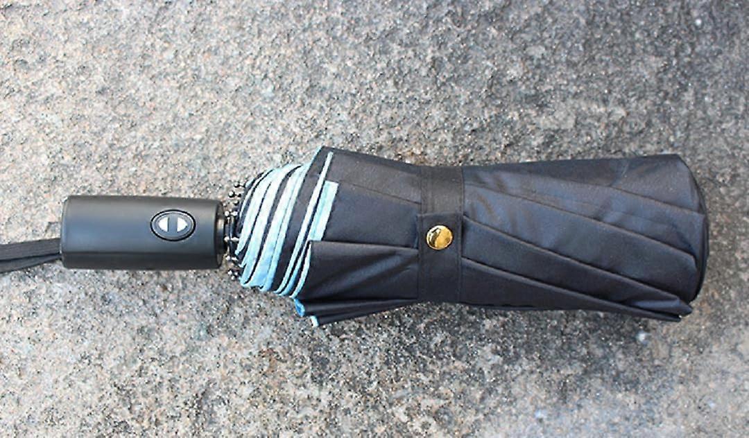 10-Rib Windproof Umbrella - Compact Auto Open Close with Large Canopy ...