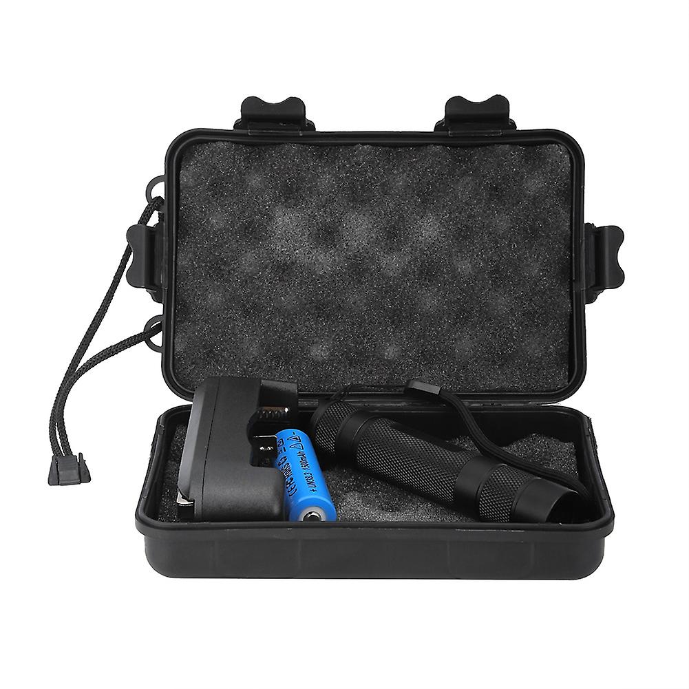 365NM UV Light Flashlight for Cat Dermatophytosis Inspection - US 110 ...