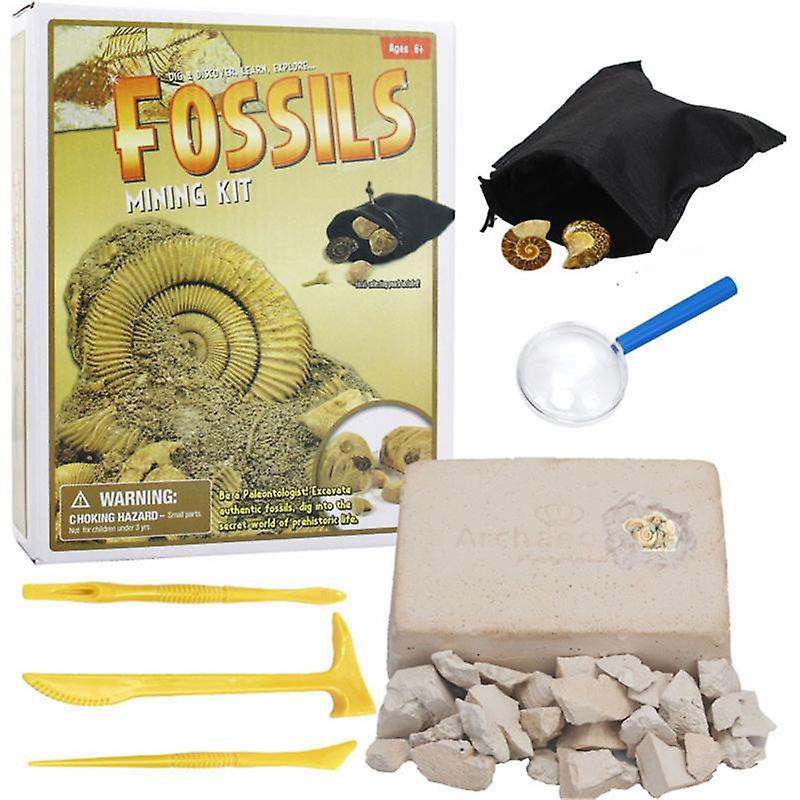 Digging Up Fossils Toy Set Pretend To Be Archaeological Excavation ...