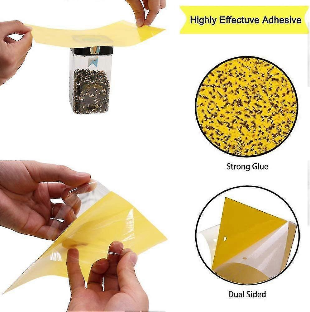 2024 - 100 Pieces Yellow Double Sided Fly Trap, Double Sided Yellow ...