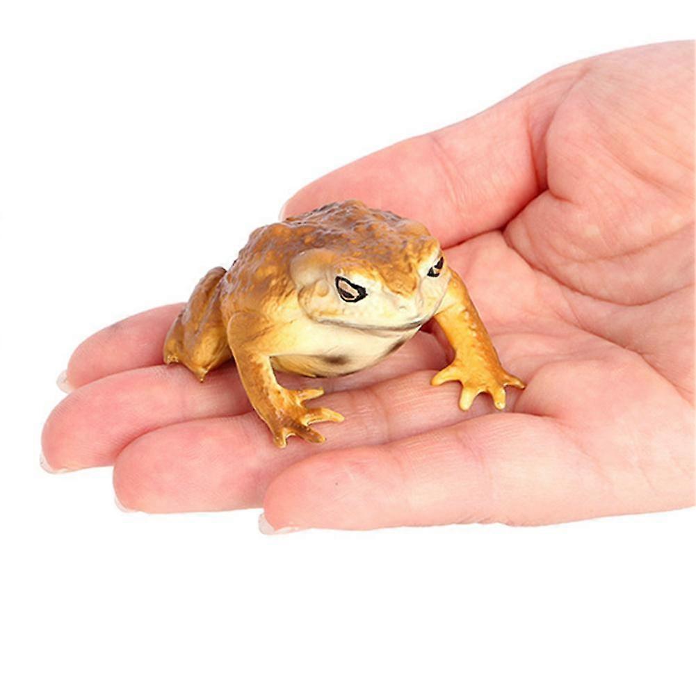 M-3333 Little Toad (Brown) (A) $Children's Cognitive Simulation Solid Animal Model Frog Bullfrog ...
