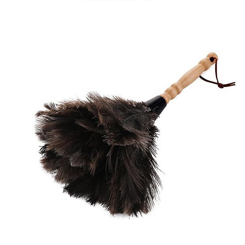 Fluffy Ostrich Feather Duster Dust Duster Solid Wood Handle Dust Brush ...