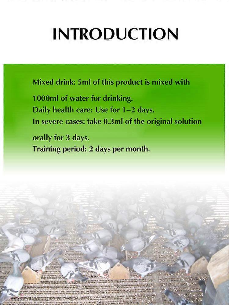 Salmonella pigeons use health products to prevent common diseases of ...